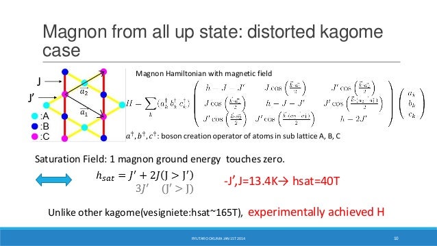 Magnetization process of the kagome magnets