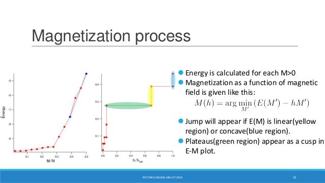 Magnetization process of the kagome magnets