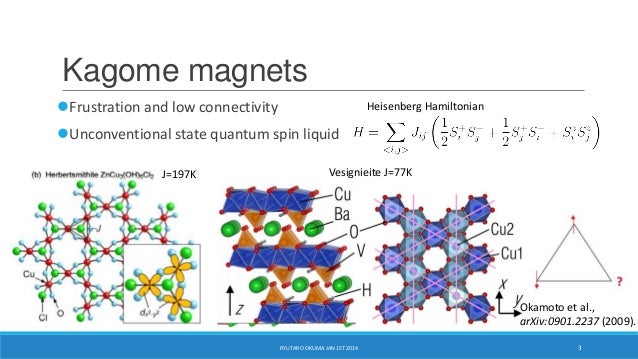 Magnetization process of the kagome magnets