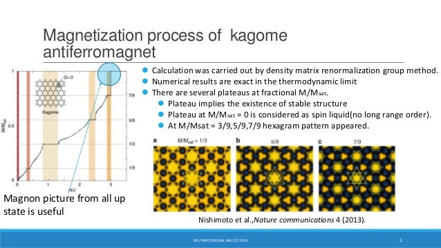 Magnetization process of the kagome magnets