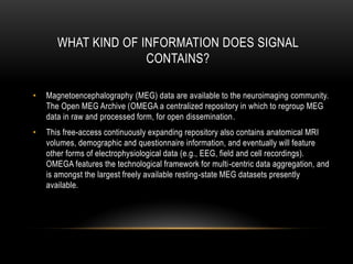 Magnetoencephalogram-MEG | PDF