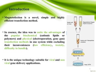 Magnetofection emadi | PPT