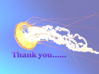 Magneto hydro dynamic system | PPT