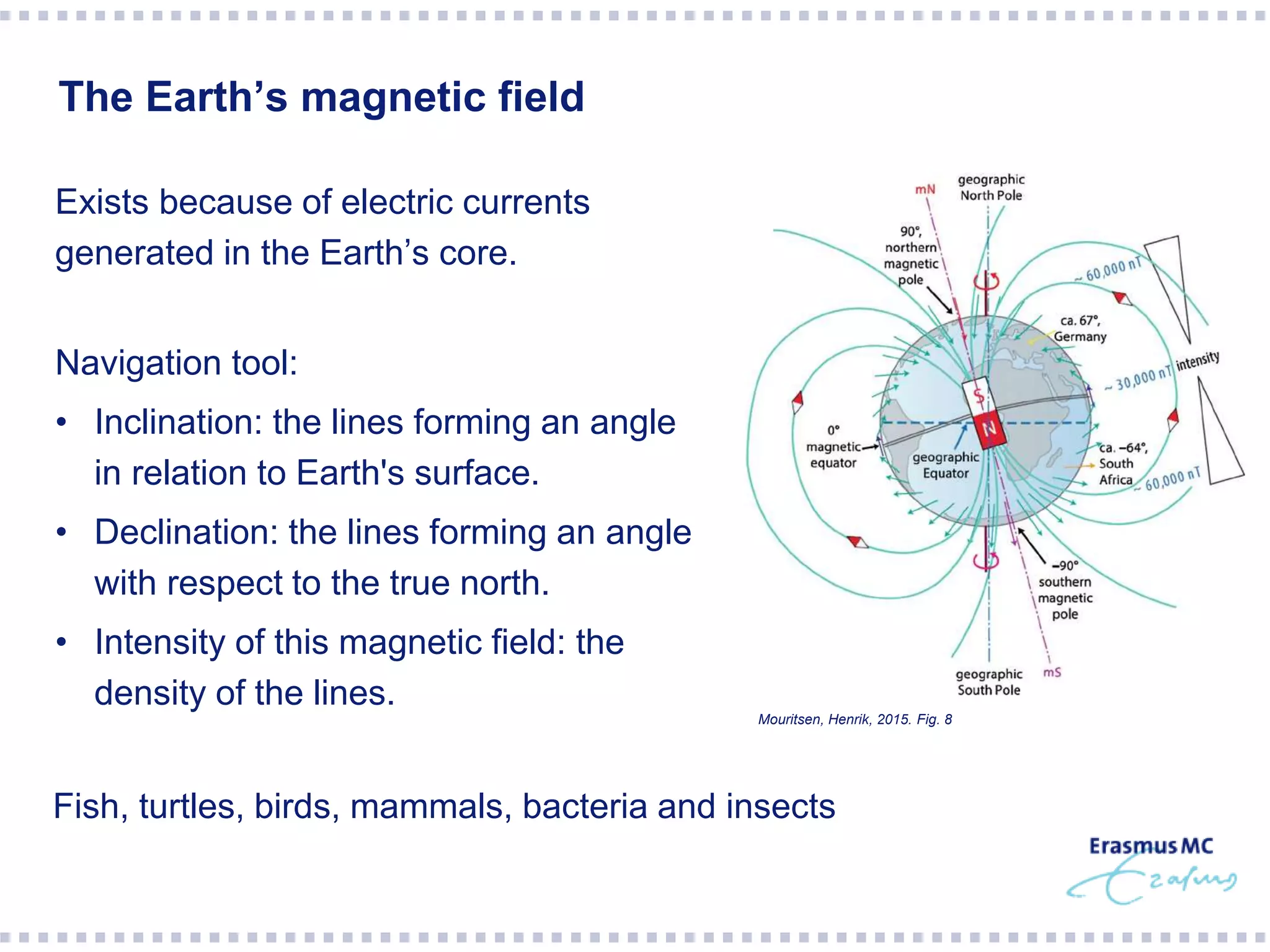 Magnetoreception.pptx