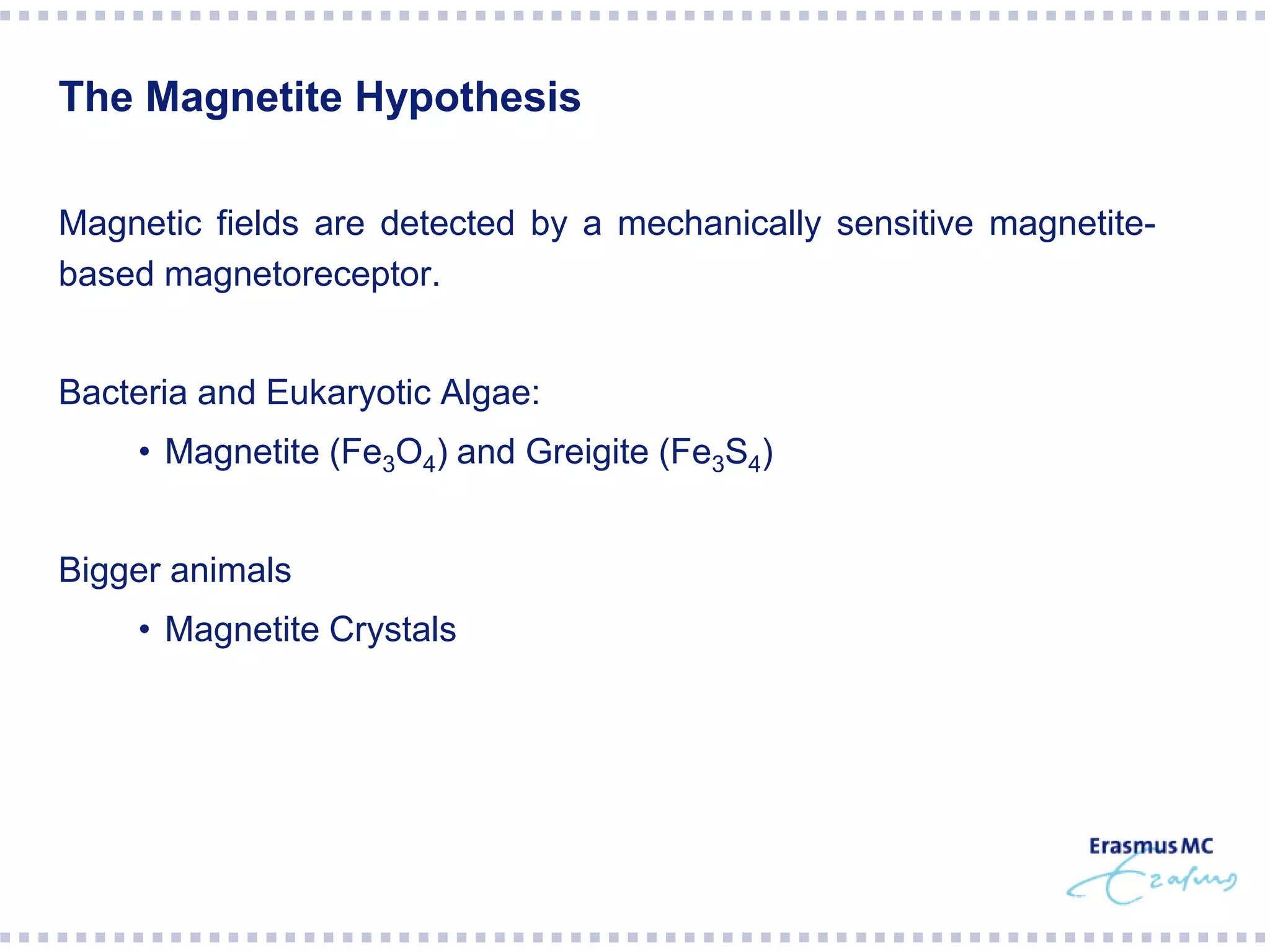 Magnetoreception.pptx