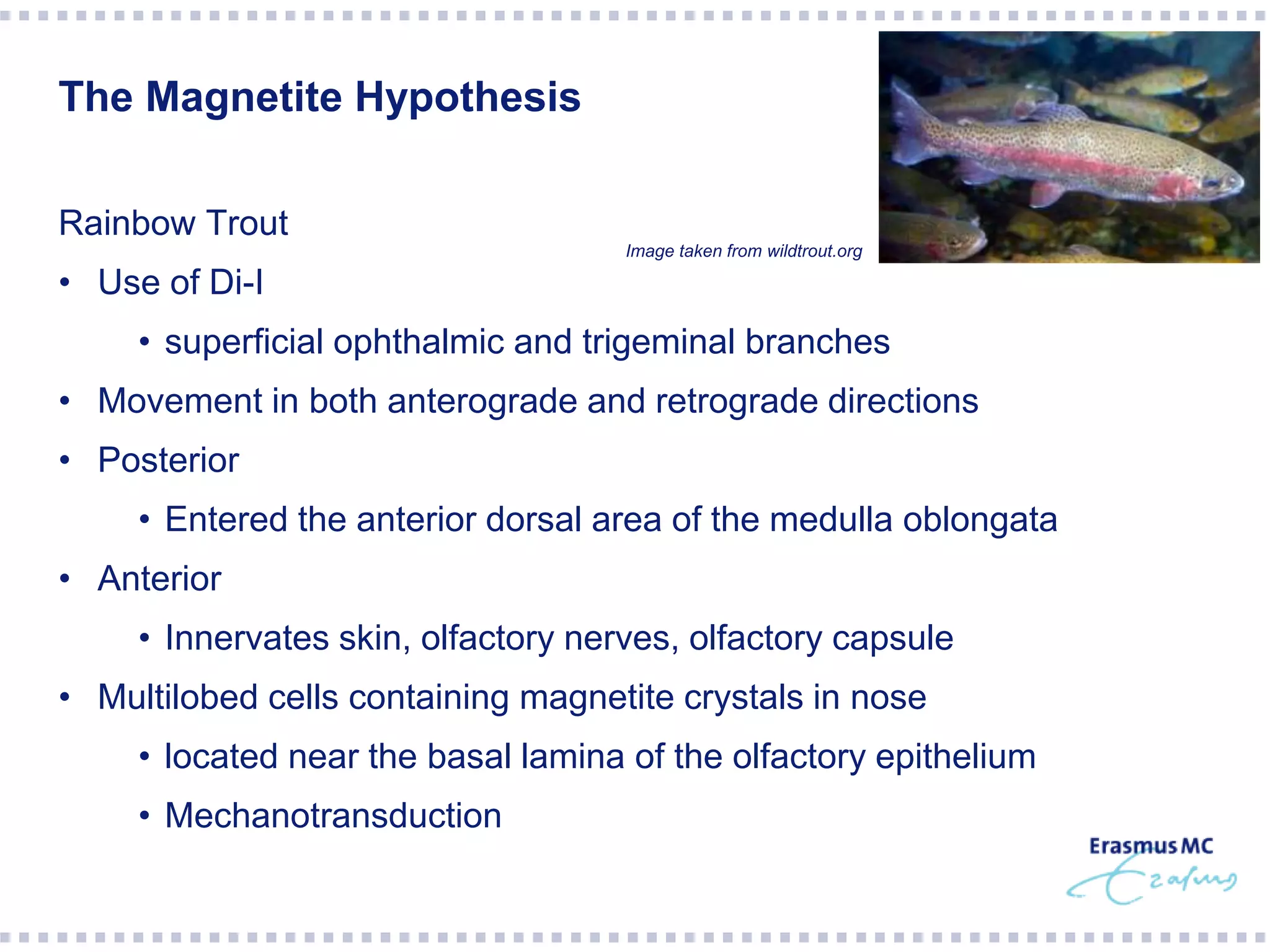 Magnetoreception.pptx