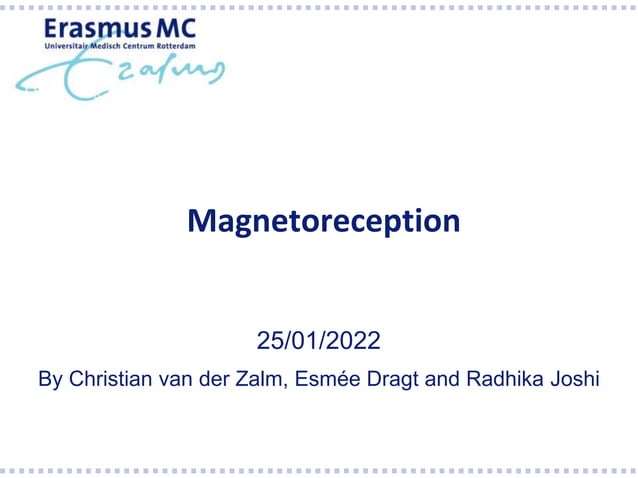 Magnetoreception.pptx