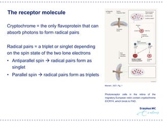 Magnetoreception.pptx