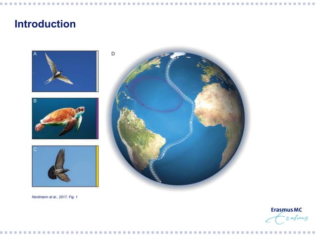 Magnetoreception.pptx