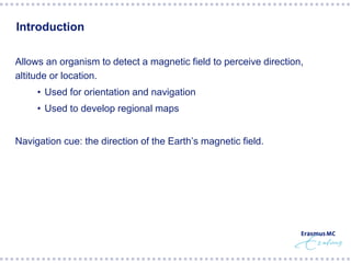 Magnetoreception.pptx