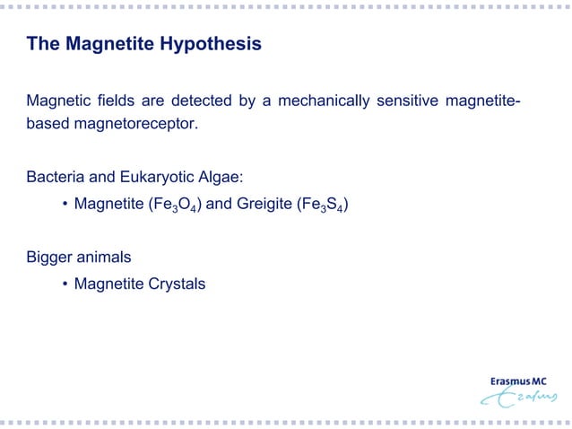 Magnetoreception.pptx