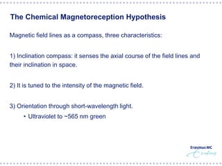 Magnetoreception.pptx