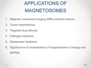 Magnetosome | Magnetotactic bacteria (MTB) | | PPTX