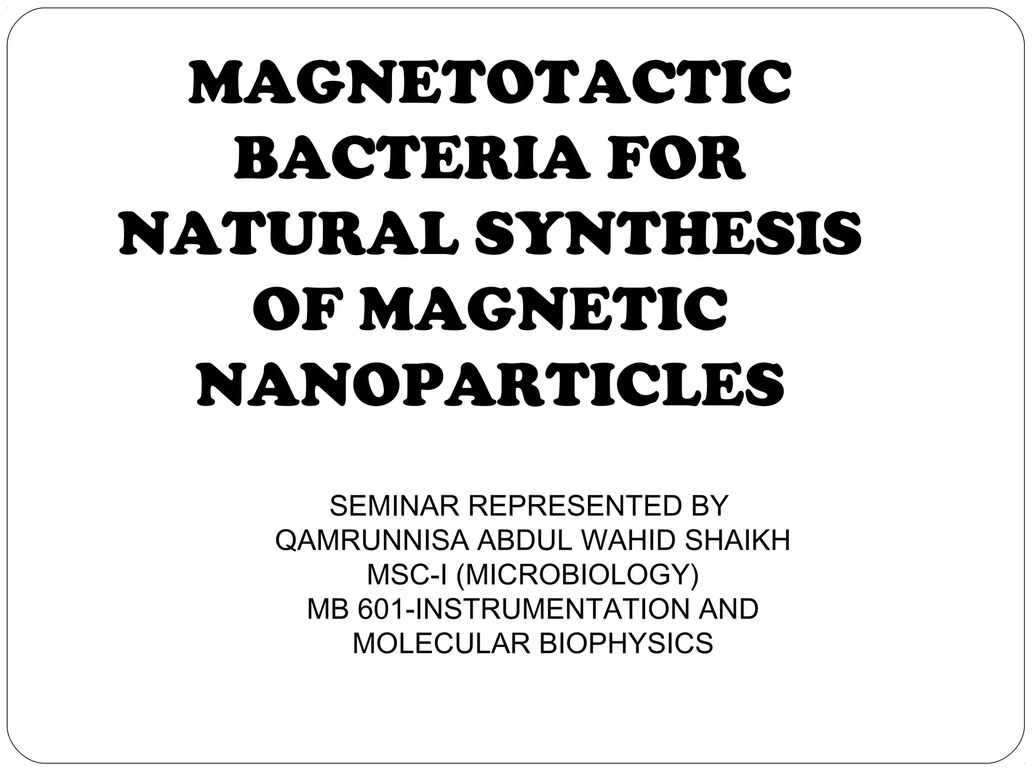 Magnetotactic bacteria. | PPT