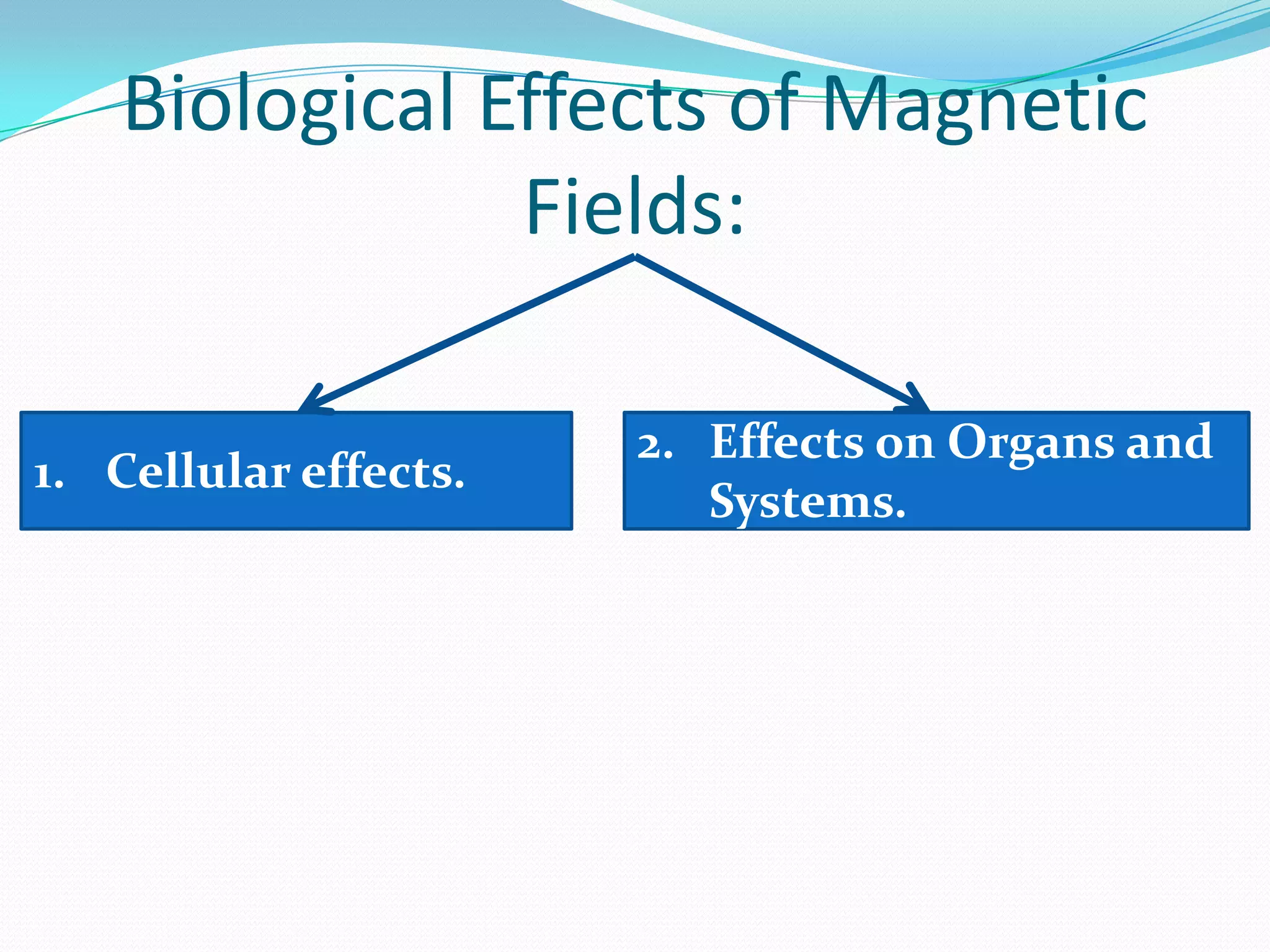Magnetotherapy | PPTX