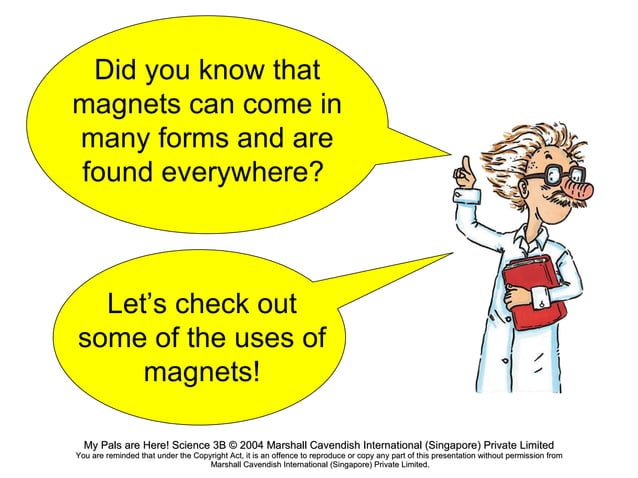 Magnets | PPT | Physics | Science