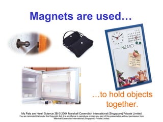 Magnets | PPT | Physics | Science