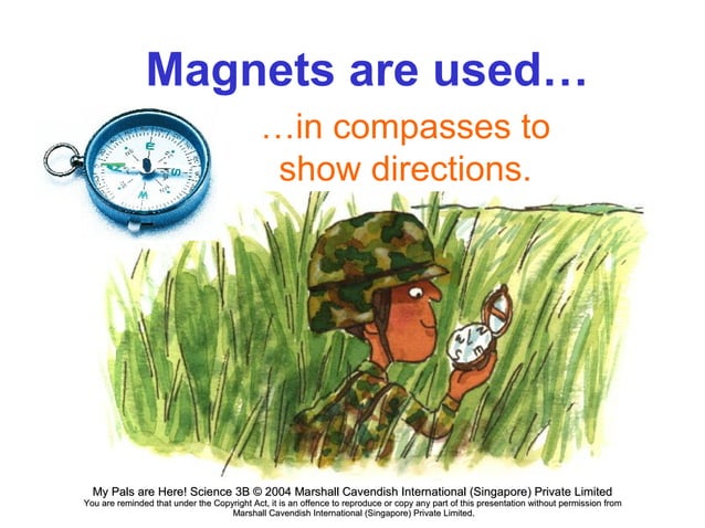 Magnets | PPT | Physics | Science