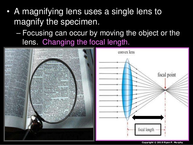 Magnification PowerPoint, Microscopes, Science Lesson