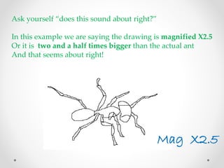 Magnification | PPTX