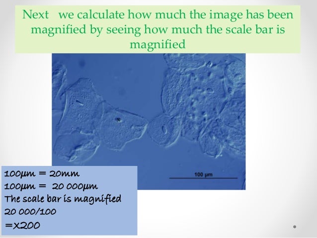 Magnification Conversion Chart