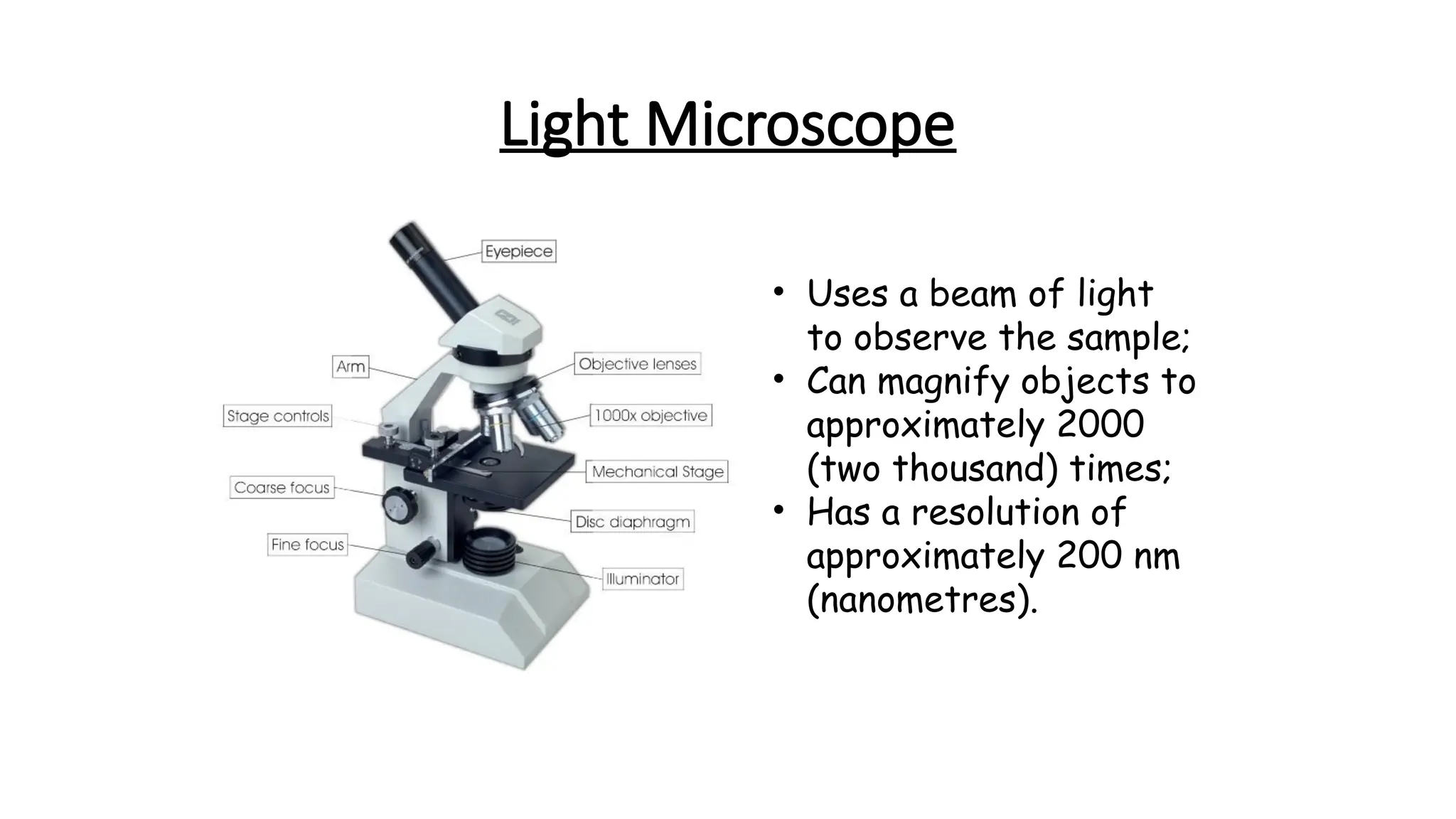magnification lesson of gcse, how to find magnification questions | PPTX