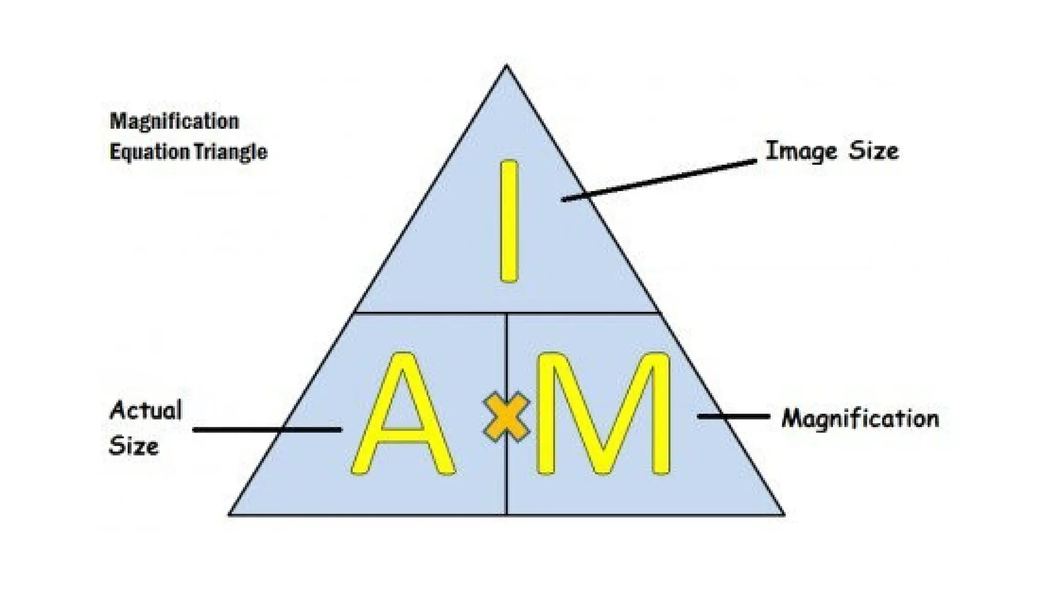 magnification lesson of gcse, how to find magnification questions | PPTX