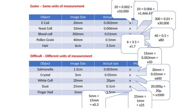 Magnification Lesson Of Gcse How To Find Magnification Questions Ppt
