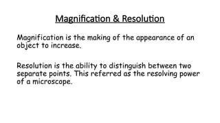 magnification lesson of gcse, how to find magnification questions | PPTX
