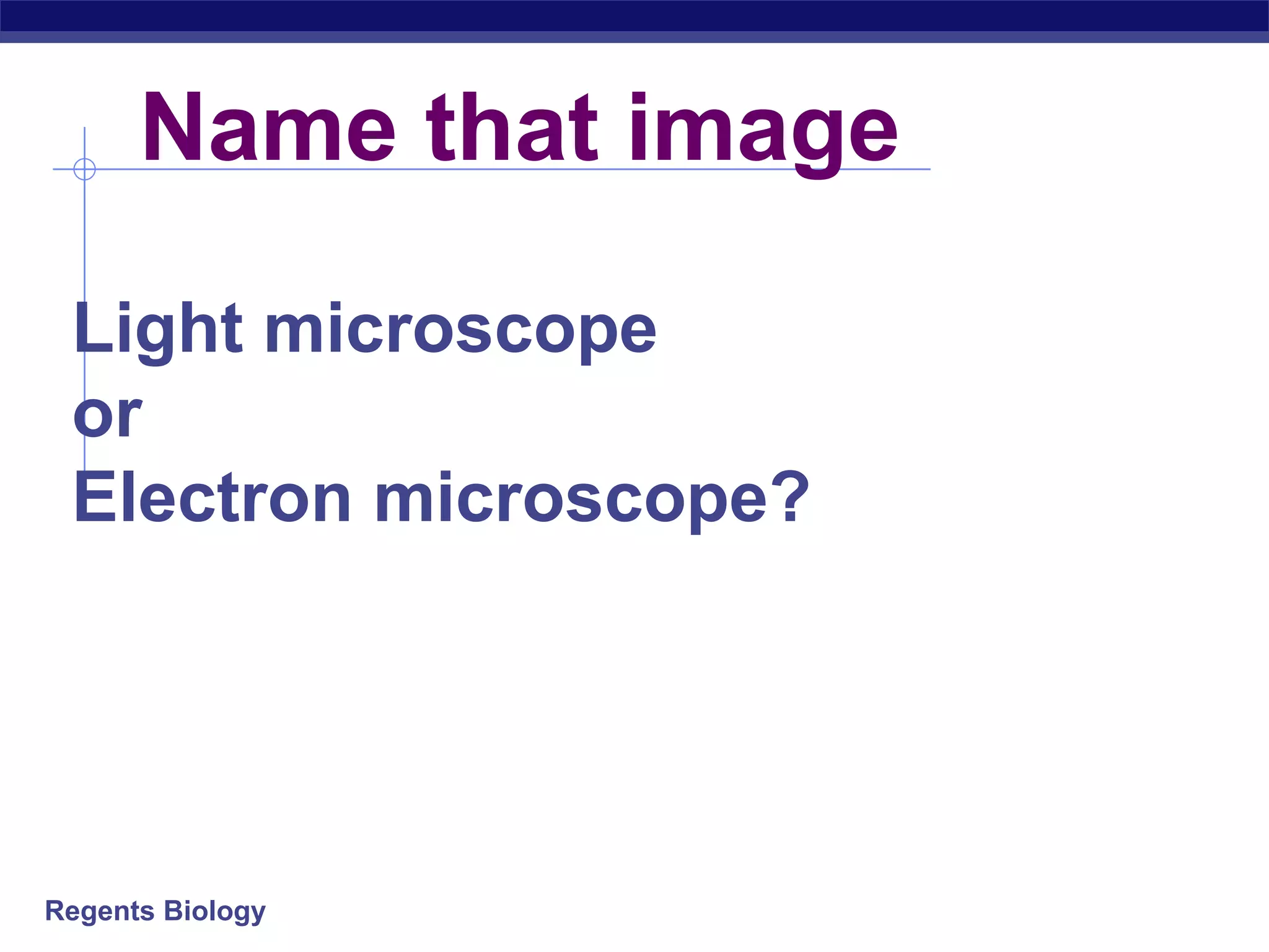 Magnification and Microscopes | PPTX