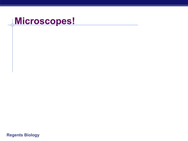 Magnification and Microscopes | PPTX | Biological Sciences | Science