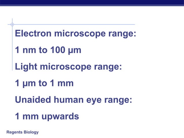 Magnification and Microscopes | PPTX | Biological Sciences | Science