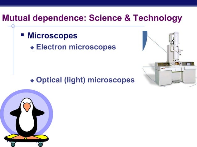 Magnification and Microscopes | PPTX | Biological Sciences | Science