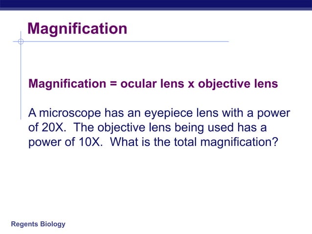 Magnification and Microscopes | PPTX | Biological Sciences | Science