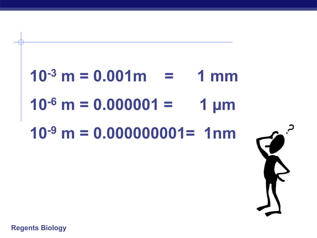 Magnification and Microscopes | PPTX | Biological Sciences | Science