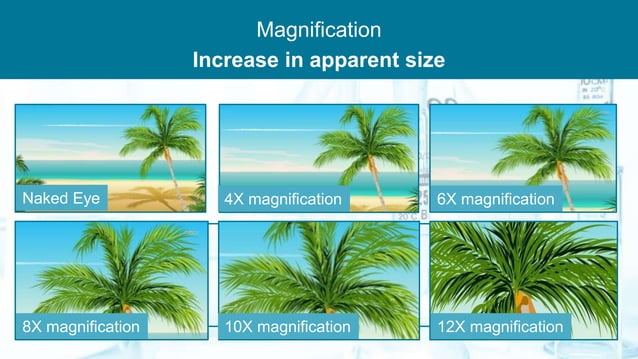 Magnification and resolution of microscope | PPTX | Photography | Arts and Crafts
