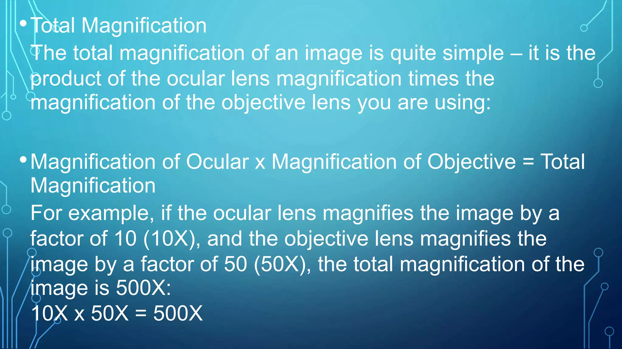Magnification Grade 7.pptx
