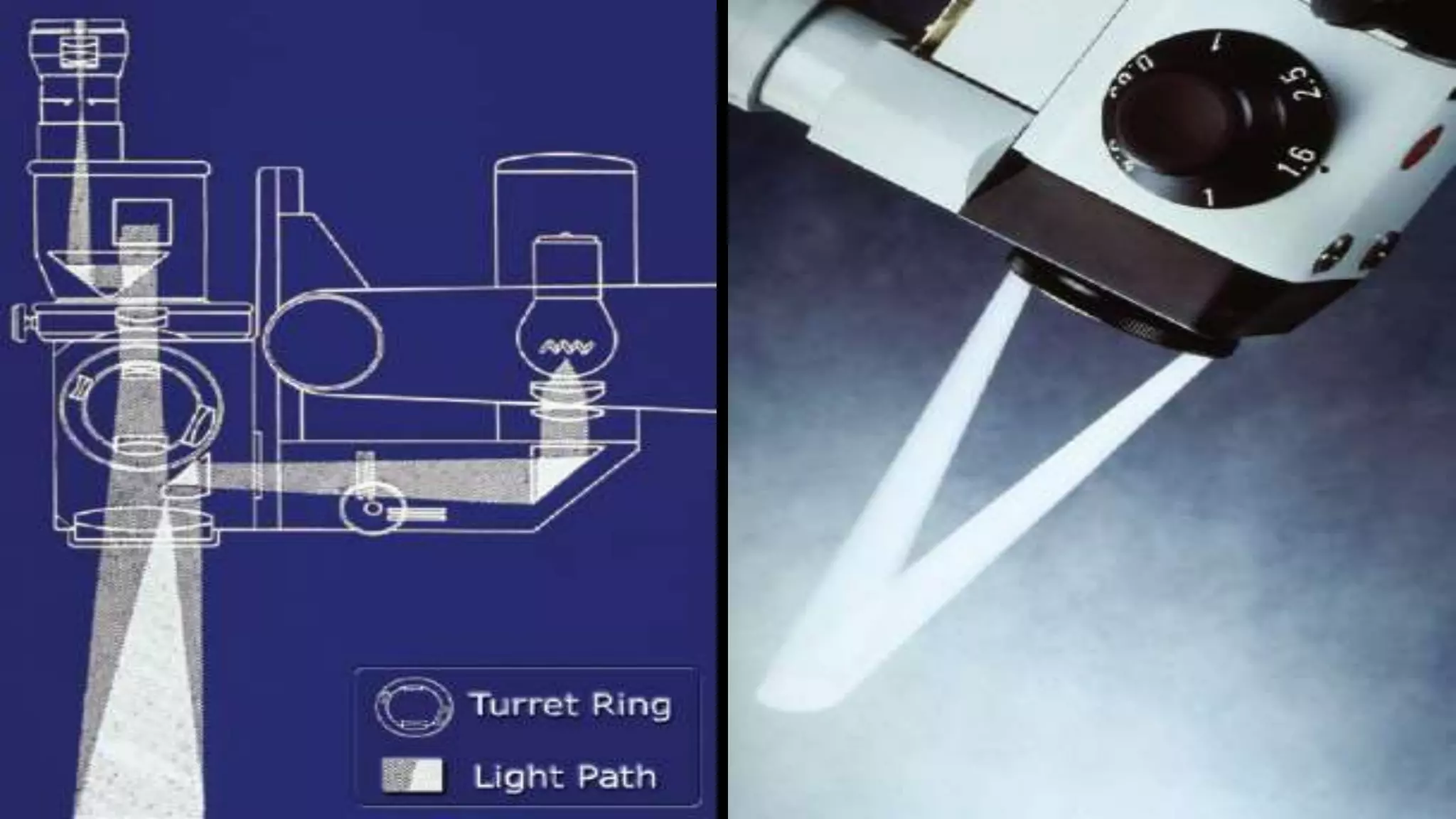 Magnification in endodontics by dr jagadeesh kodityala | PPTX