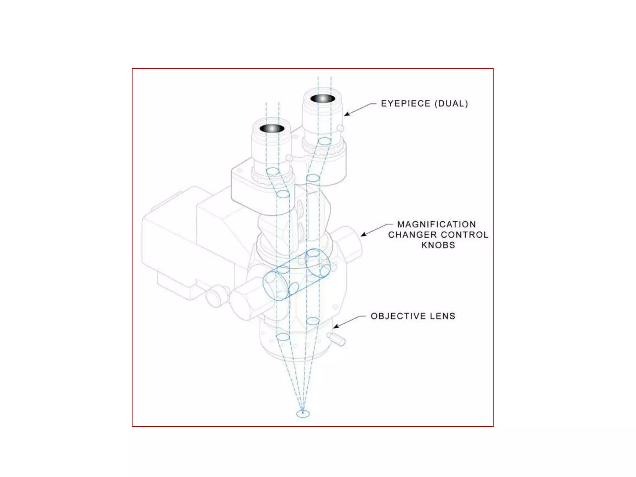 Magnification in endodontics | PPTX