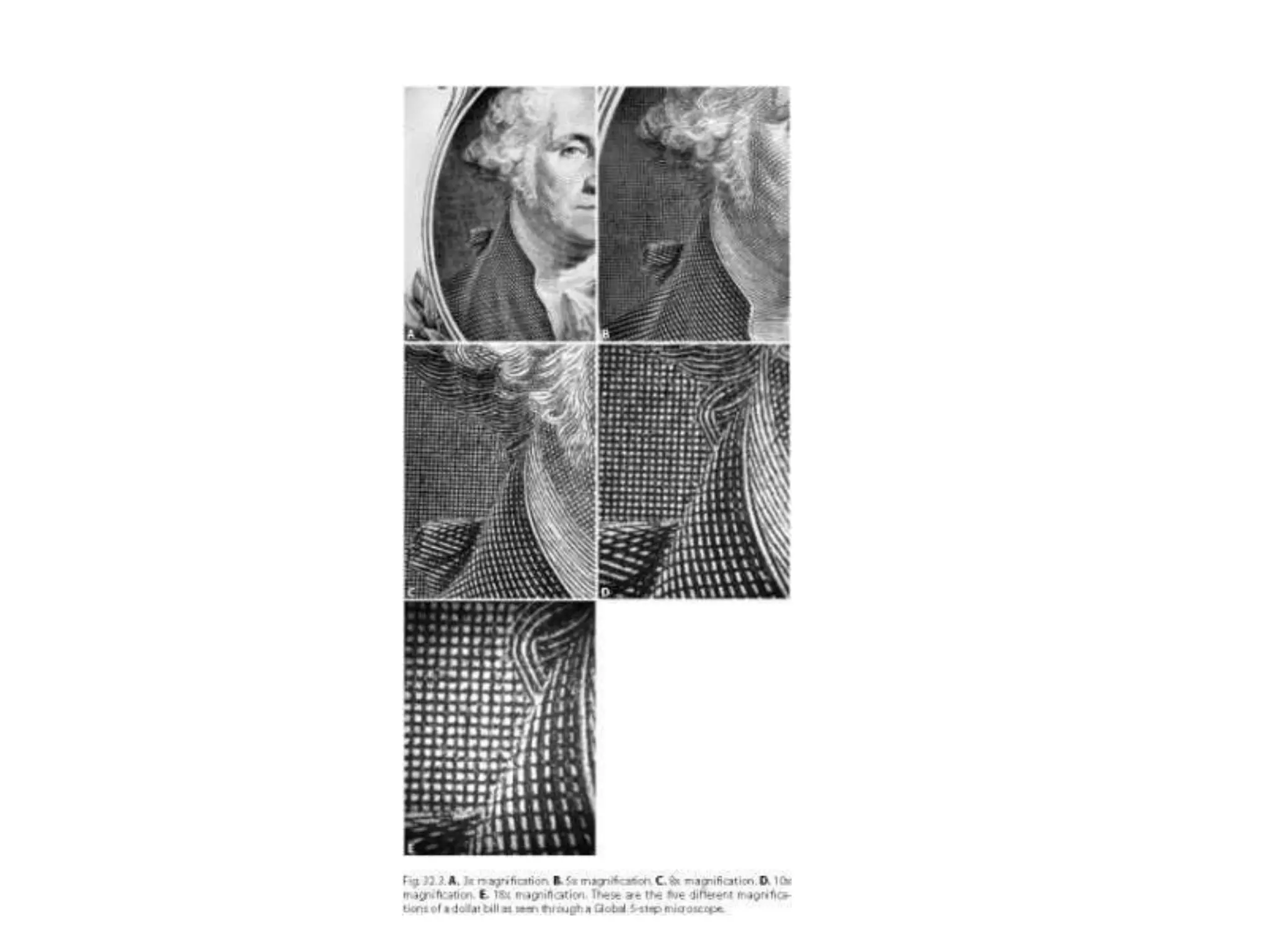 Magnification in endodontics | PPTX