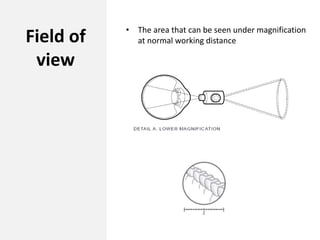 Magnification in endodontics | PPTX