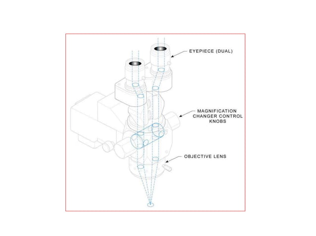 Magnification in endodontics | PPTX