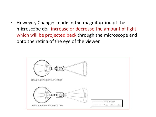 Magnification in endodontics | PPTX