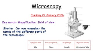 Magnification for IGCSE Biology ————————- | PPTX