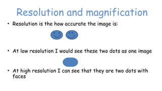 Magnification for IGCSE Biology ————————- | PPTX