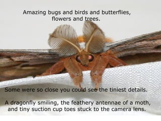 Magnificent Me The Secret Of The Stone | PPT | Romance | Genres