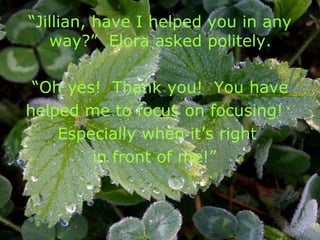 Magnificent Me The Secret Of The Stone | PPT | Romance | Genres