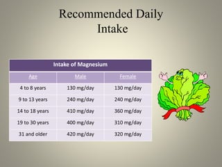 Magnificent Magnesium for requirement.pptx
