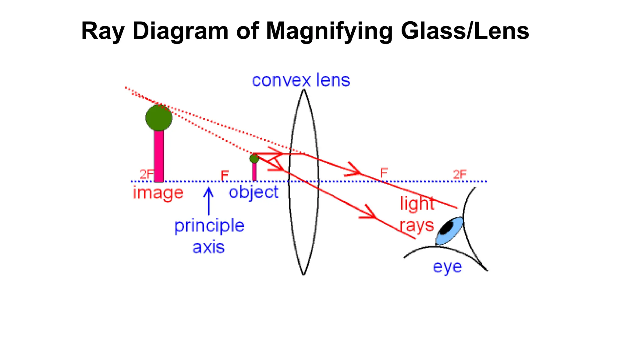 magnifying-glasses-infographics-and-uses | PPTX
