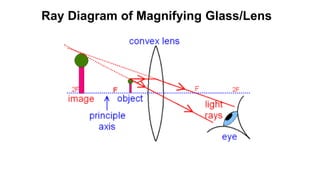 magnifying-glasses-infographics-and-uses | PPTX